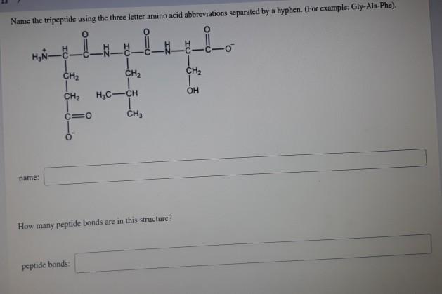 Solved Name the tripeptide using the three letter amino acid | Chegg.com