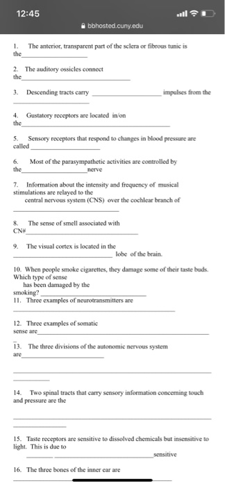 Solved 12:45 bbhosted.cuny.edu 1 the The anterior, | Chegg.com