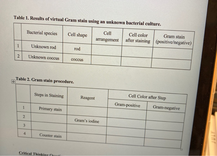 Solved Table 1. Results of virtual Gram stain using an | Chegg.com