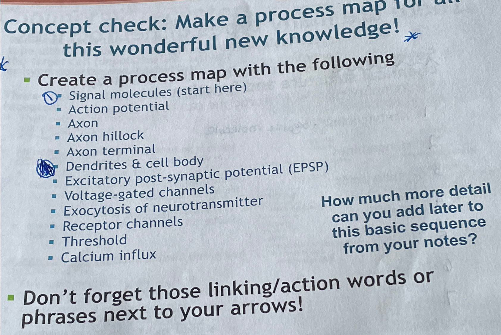 Solved Concept check: Make a process map this wonderful new | Chegg.com