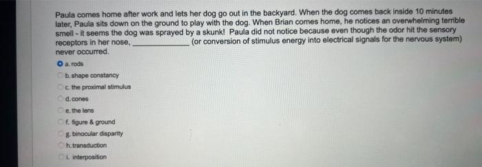 Solved Paula comes home after work and lets her dog go out | Chegg.com