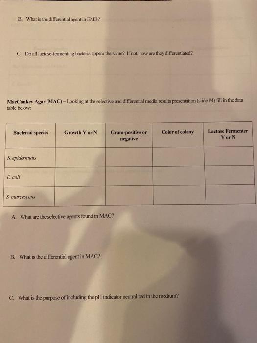 Phenylethyl Alcohol Agar (PEA)-Looking at the results | Chegg.com