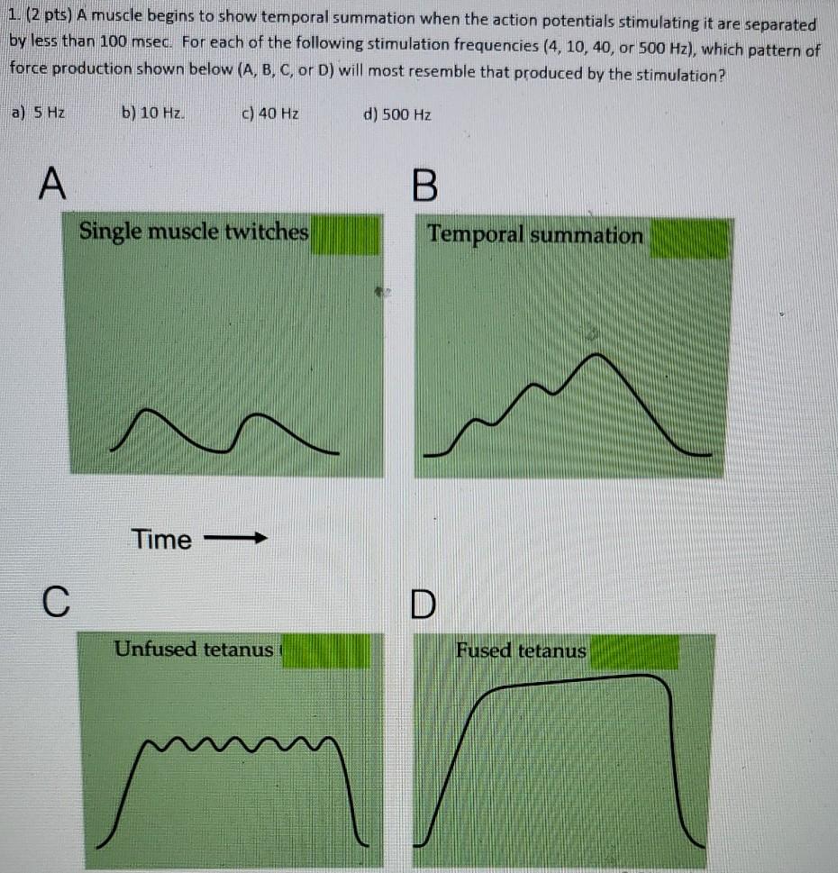 Solved 1. (2 pts) A muscle begins to show temporal summation | Chegg.com