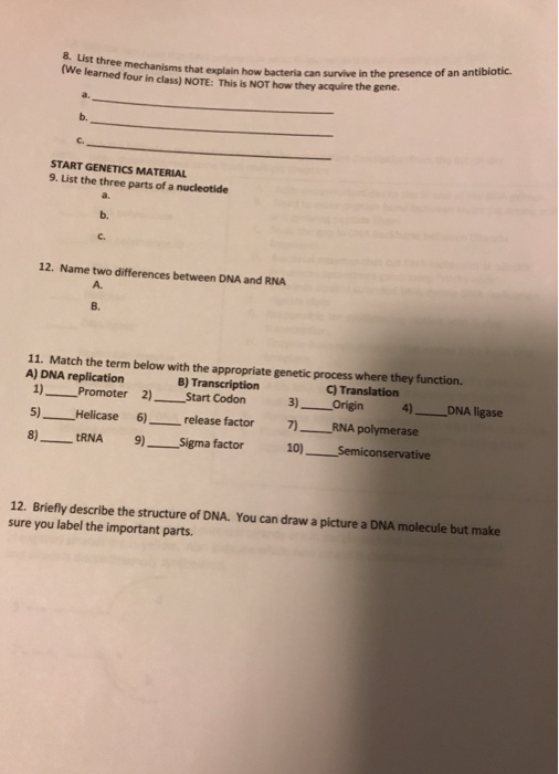 Solved START MICROBIAL GROWTH MATERIAL 1. Based on the | Chegg.com