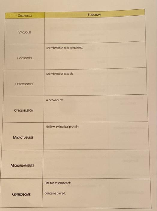 Solved LAB 4 THE CELL PARTA-THE STRUCTURE OF THE PLASMA | Chegg.com