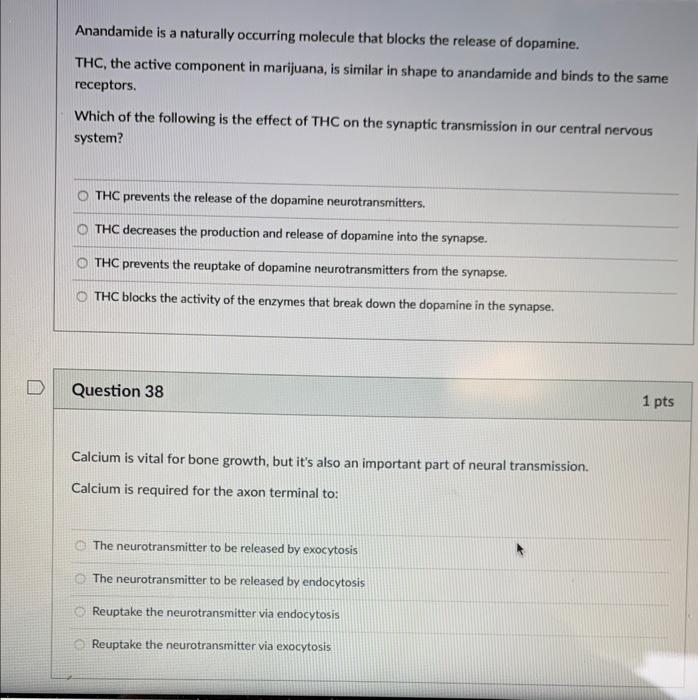 Solved Match the labelled synapse structure with the correct | Chegg.com