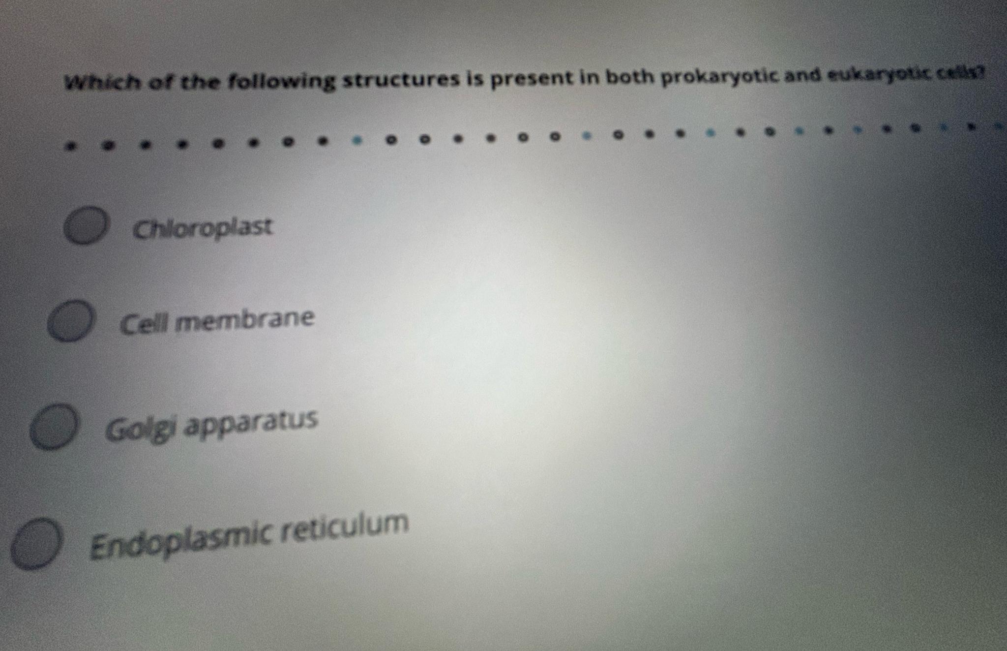 Solved Which of the following structures is present in both | Chegg.com