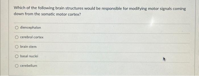 Solved Which of the following brain structures would be | Chegg.com