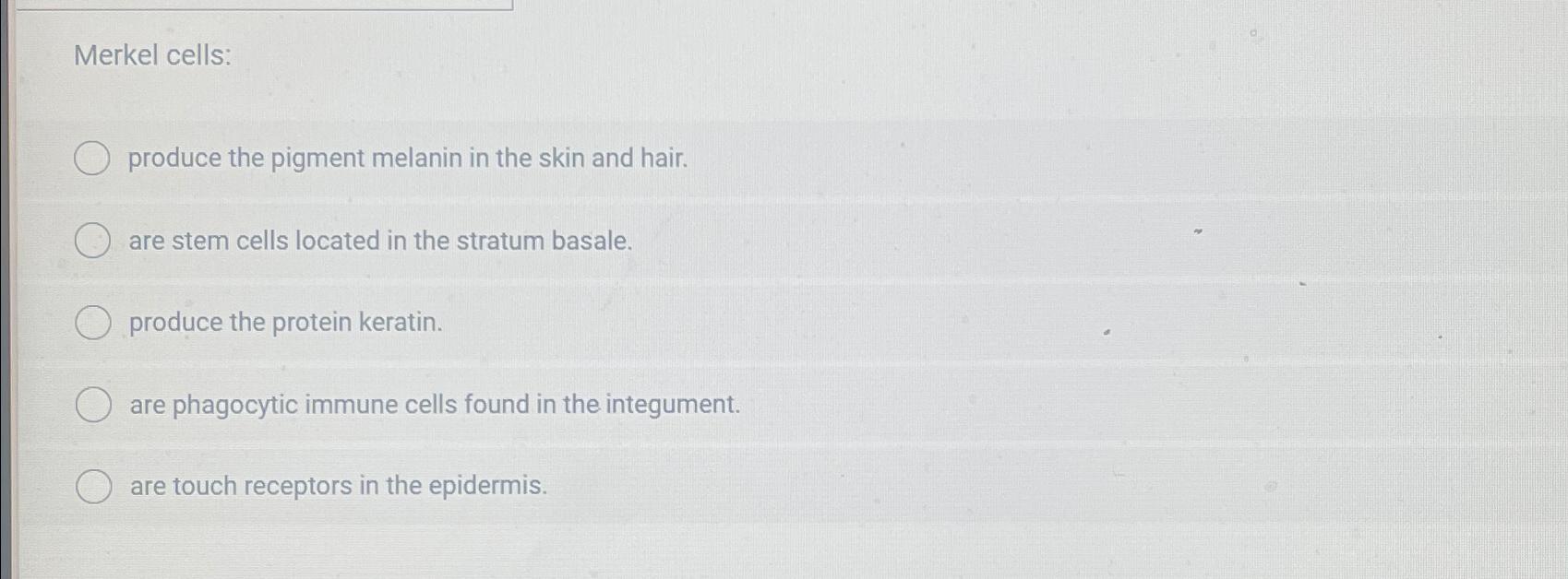 Solved Merkel cells:produce the pigment melanin in the skin | Chegg.com