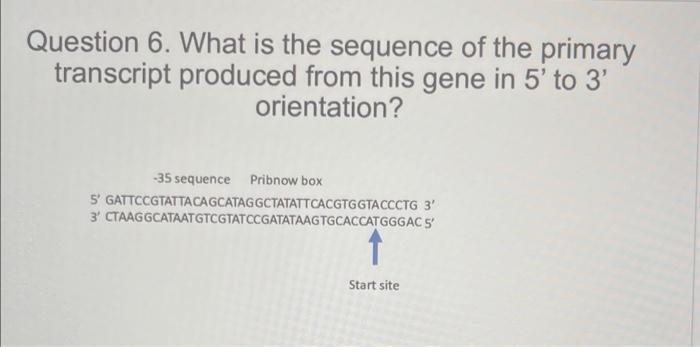 Solved Question 6. What is the sequence of the primary | Chegg.com