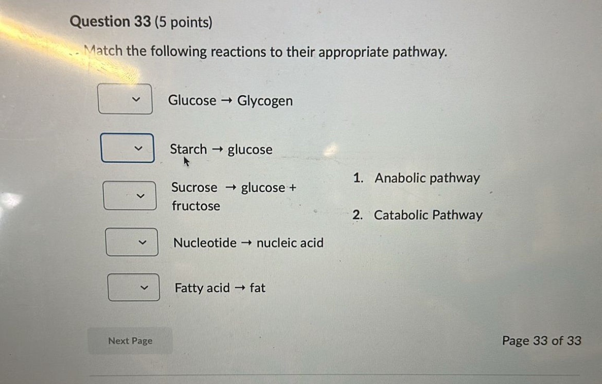 Solved Question 33 (5 ﻿points)Match the following reactions | Chegg.com