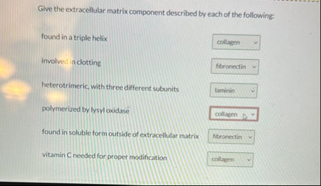 Solved Give the extracellular matrix component described by | Chegg.com