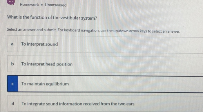 Solved BBB Homework • Unanswered What is the function of the | Chegg.com