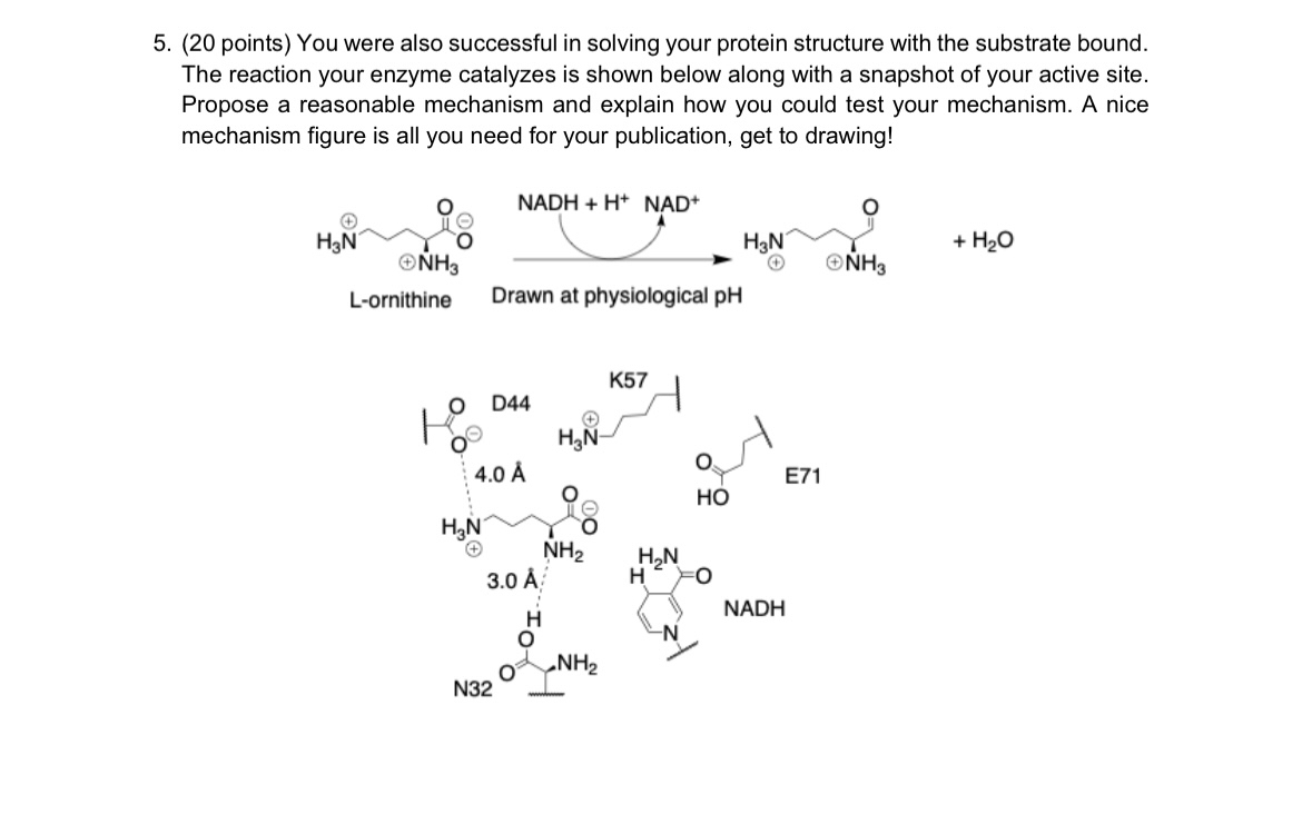 Solved (20 ﻿points) ﻿You were also successful in solving | Chegg.com