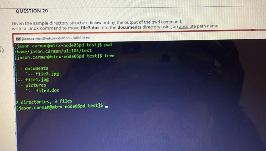 Solved QUESTION 21 Given the sample directory structure | Chegg.com