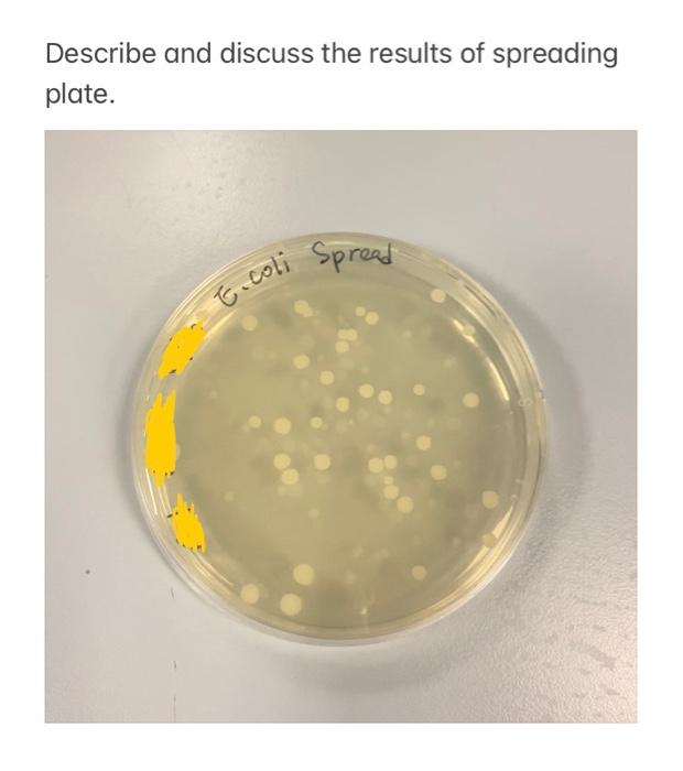 Solved Describe and discuss the results of spreading plate. | Chegg.com