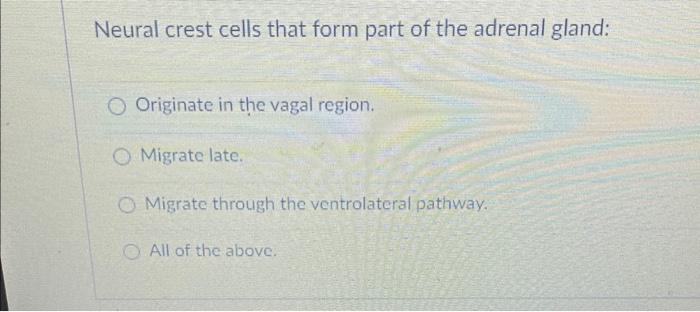 Solved Neural crest cells that form part of the adrenal | Chegg.com