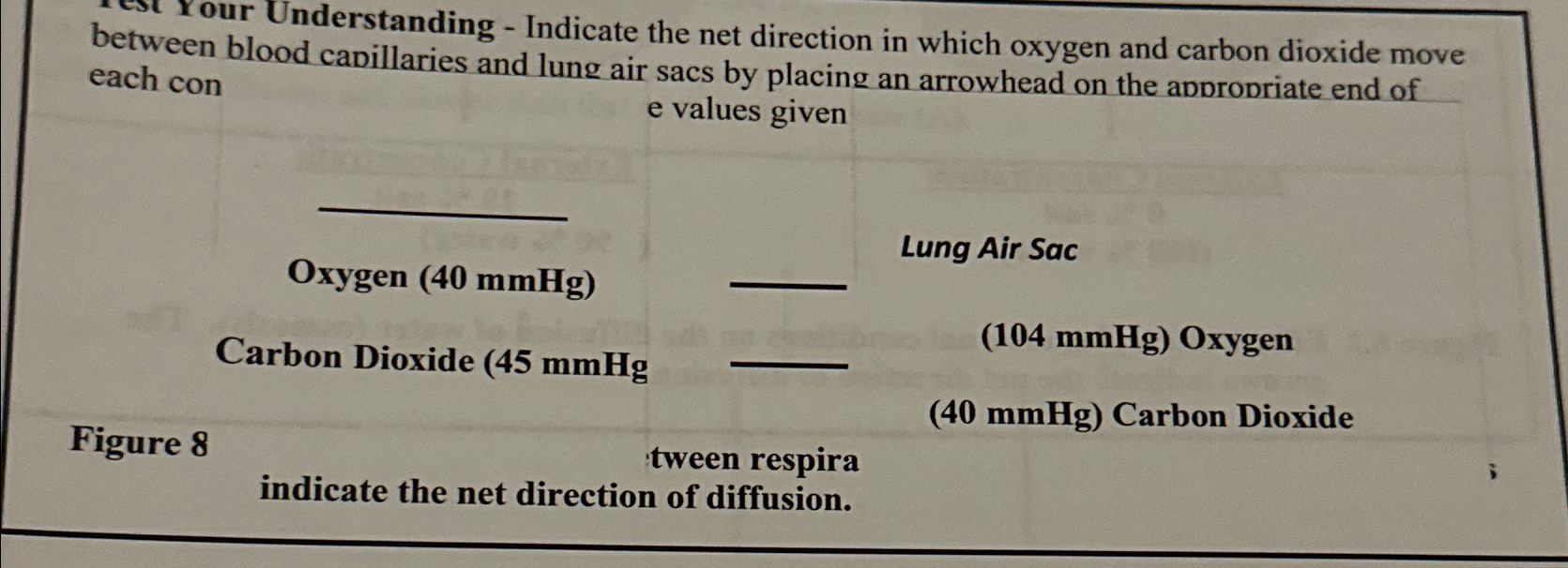 Solved betwe the Understanding - ﻿Indicate the net direction | Chegg.com