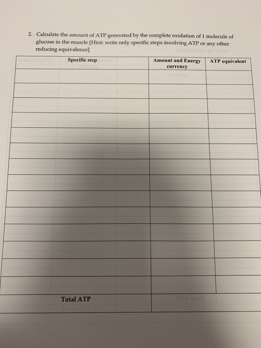 Solved 2. Calculate the amount of ATP generated by the | Chegg.com