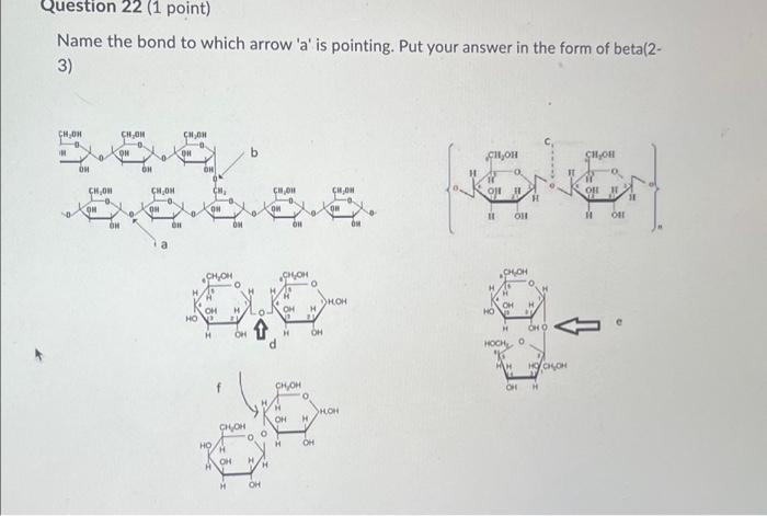 Solved Question 22 (1 point) Name the bond to which arrow | Chegg.com