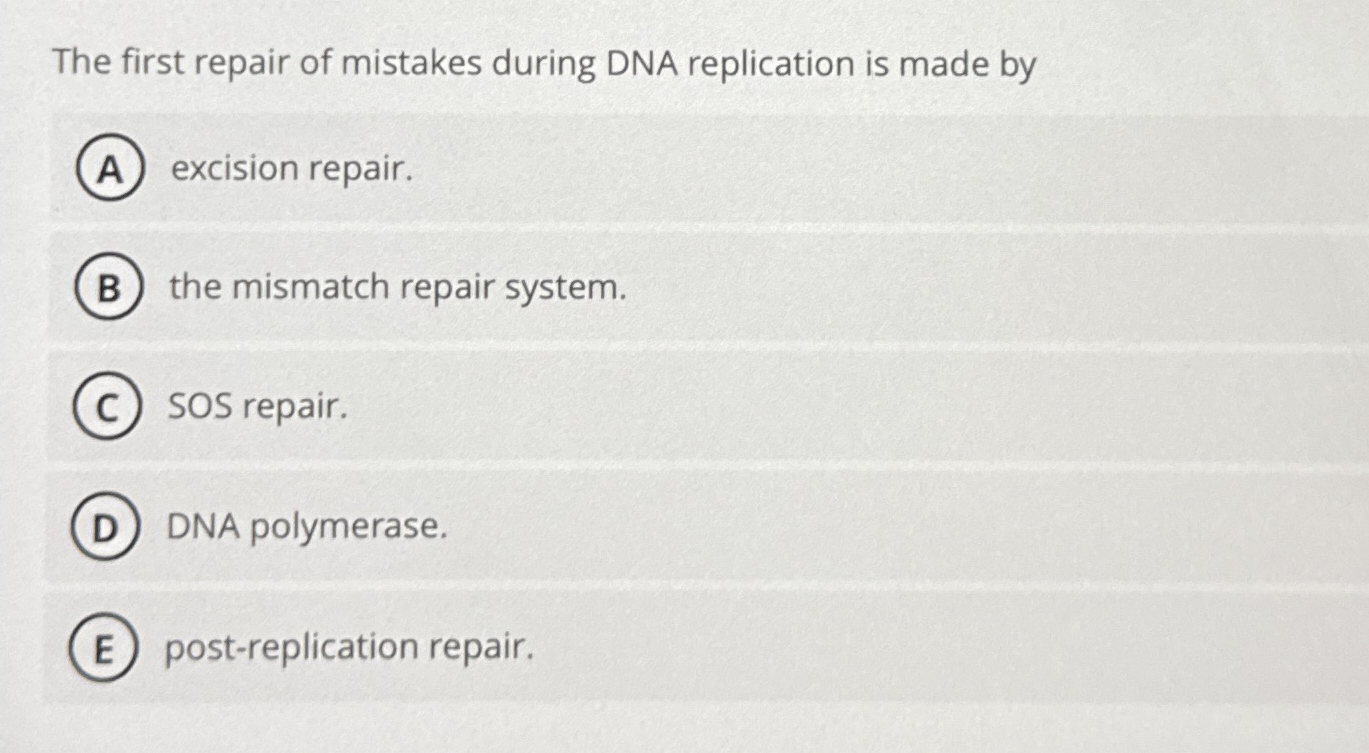 Solved The first repair of mistakes during DNA replication | Chegg.com