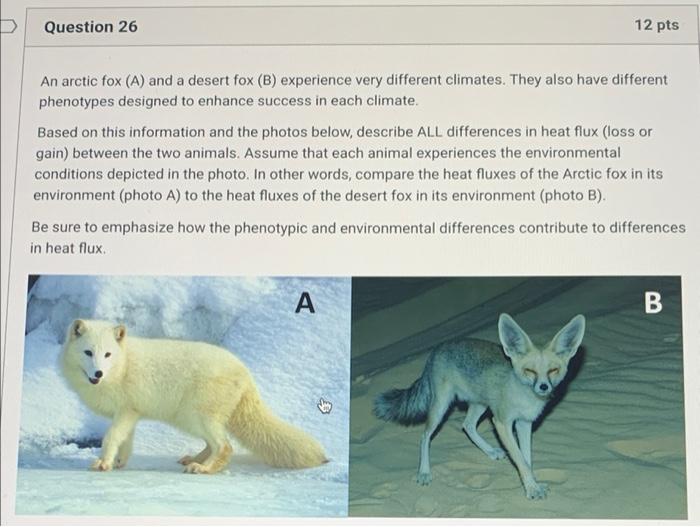 Solved Question 26 12 pts An arctic fox (A) and a desert fox | Chegg.com