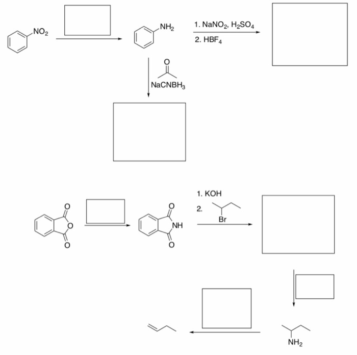 Solved 1. NaNO2, H2SO4 2. HBF4 NaCNBH 1. KOH 2. Y Br NH2 | Chegg.com