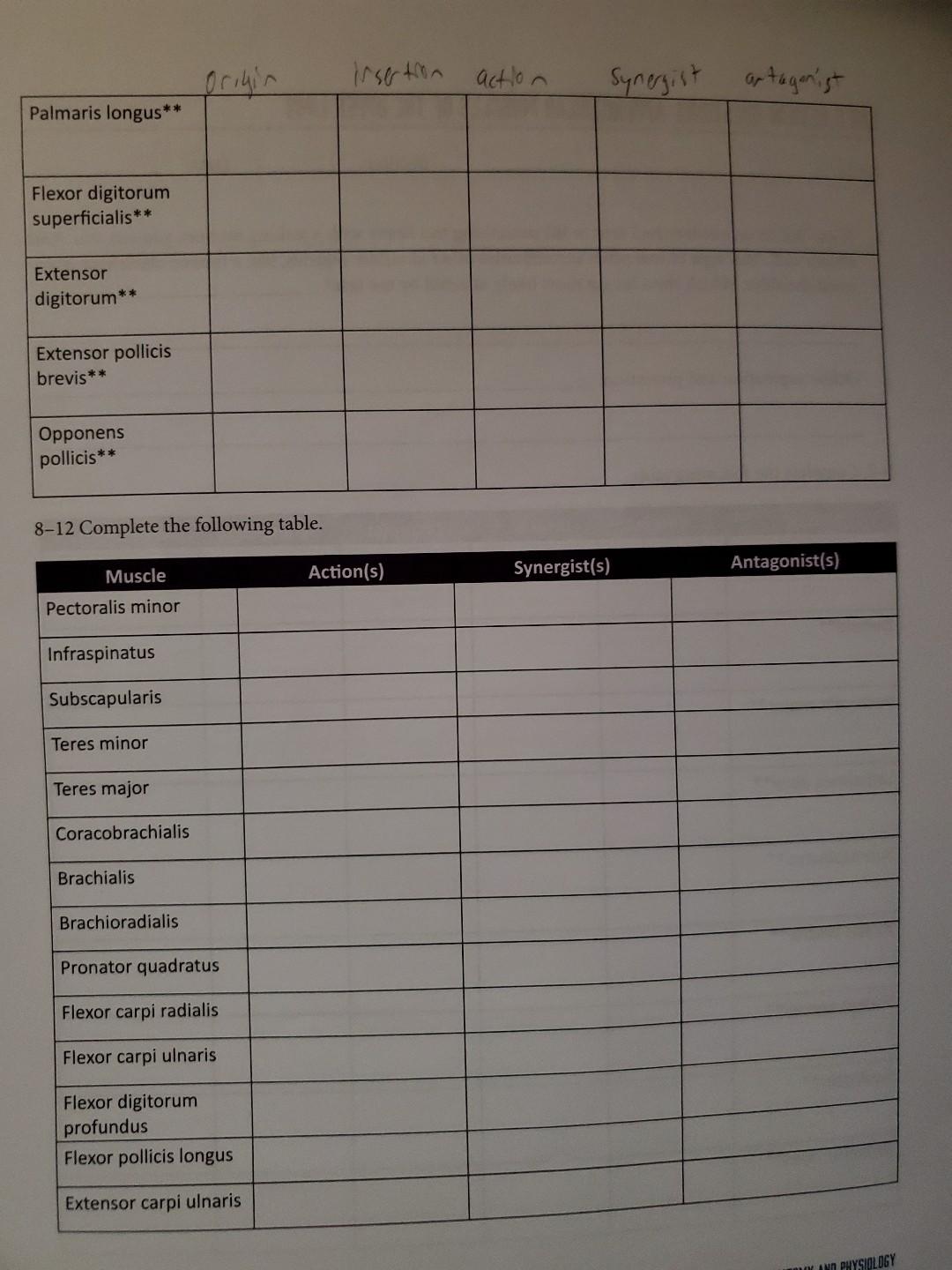 Solved Origin insertion action Synergist artagonist Palmaris | Chegg.com