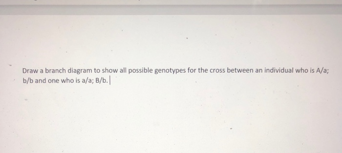 Solved Draw a branch diagram to show all possible genotypes | Chegg.com