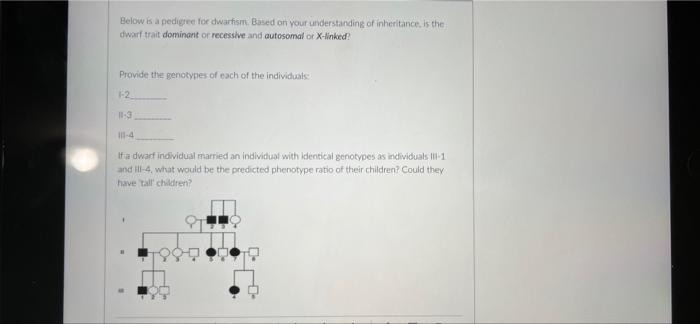 Solved Below is a pedigree for dwarfism. Based on your | Chegg.com