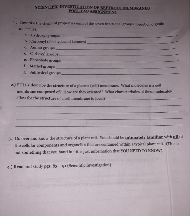 Solved SCIENTIFIC INVESTIGATION OF BEETROOT MEMBRANES | Chegg.com