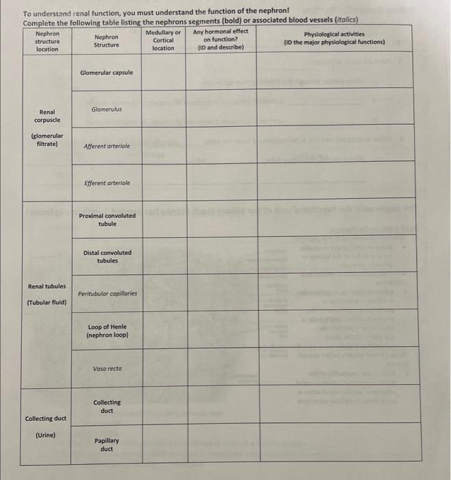 Solved To understand renal function, you must understand the | Chegg.com