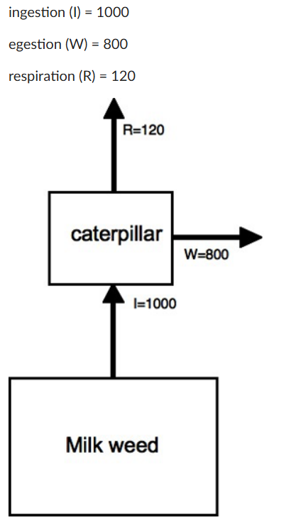 Solved Use the figure to calculate the assimilation, | Chegg.com