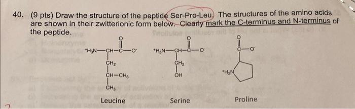 Solved 40. (9 pts) Draw the structure of the peptide | Chegg.com