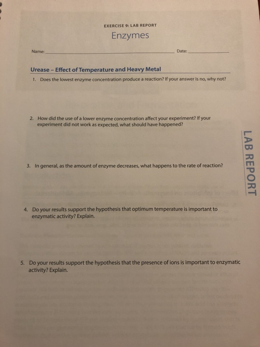 Solved EXERCISE 9: LAB REPORT Enzymes Name: Date: Urease - | Chegg.com