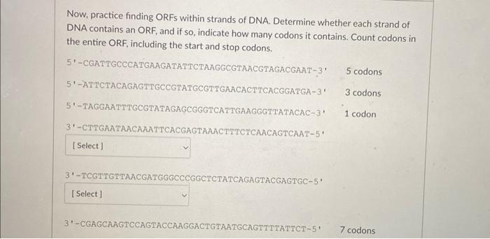 Solved Now, practice finding ORFs within strands of DNA. | Chegg.com