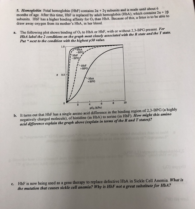 Solved 5. Hemoglobin: Fetal hemoglobin (HbF) contains 2a + | Chegg.com