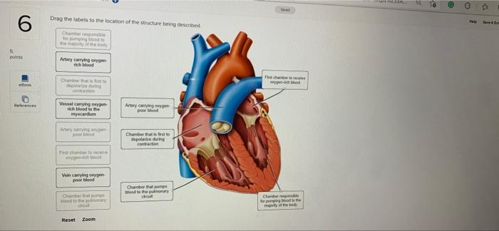 Solved 07 5 Correctly sequence the pathway of blood flow | Chegg.com Solved 07 5 Correctly sequence the pathway of blood flow | Chegg.com