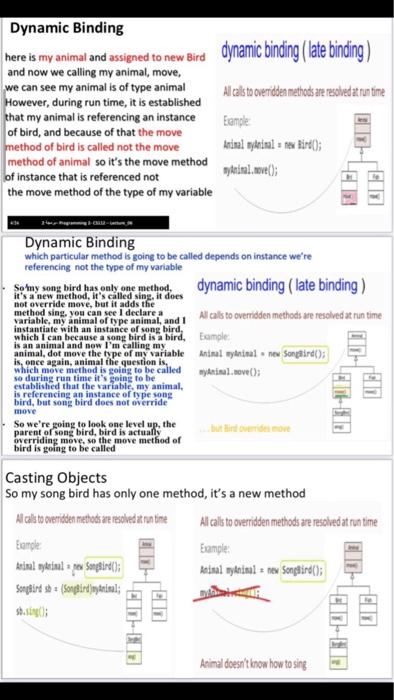 Solved Dynamic Binding here is my animal and assigned to new | Chegg.com