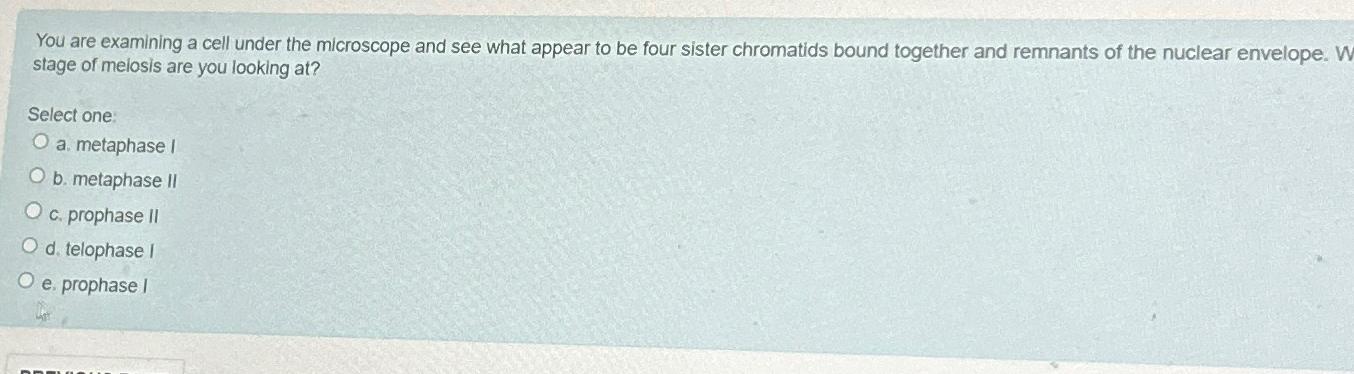 Solved You are examining a cell under the microscope and see | Chegg.com