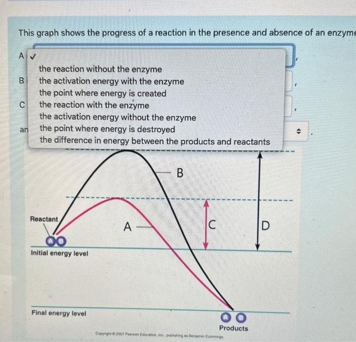Solved This graph shows the progress of a reaction in the | Chegg.com