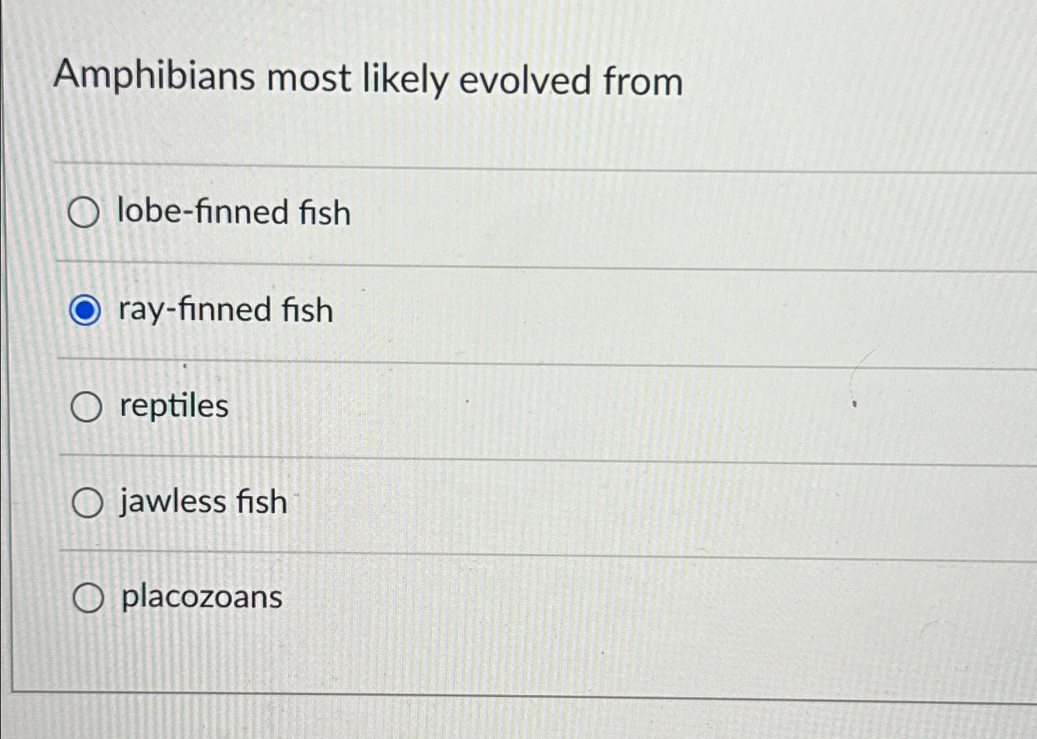 Solved Amphibians most likely evolved fromlobe-finned | Chegg.com
