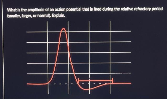 Solved What is the amplitude of an action potential that is | Chegg.com