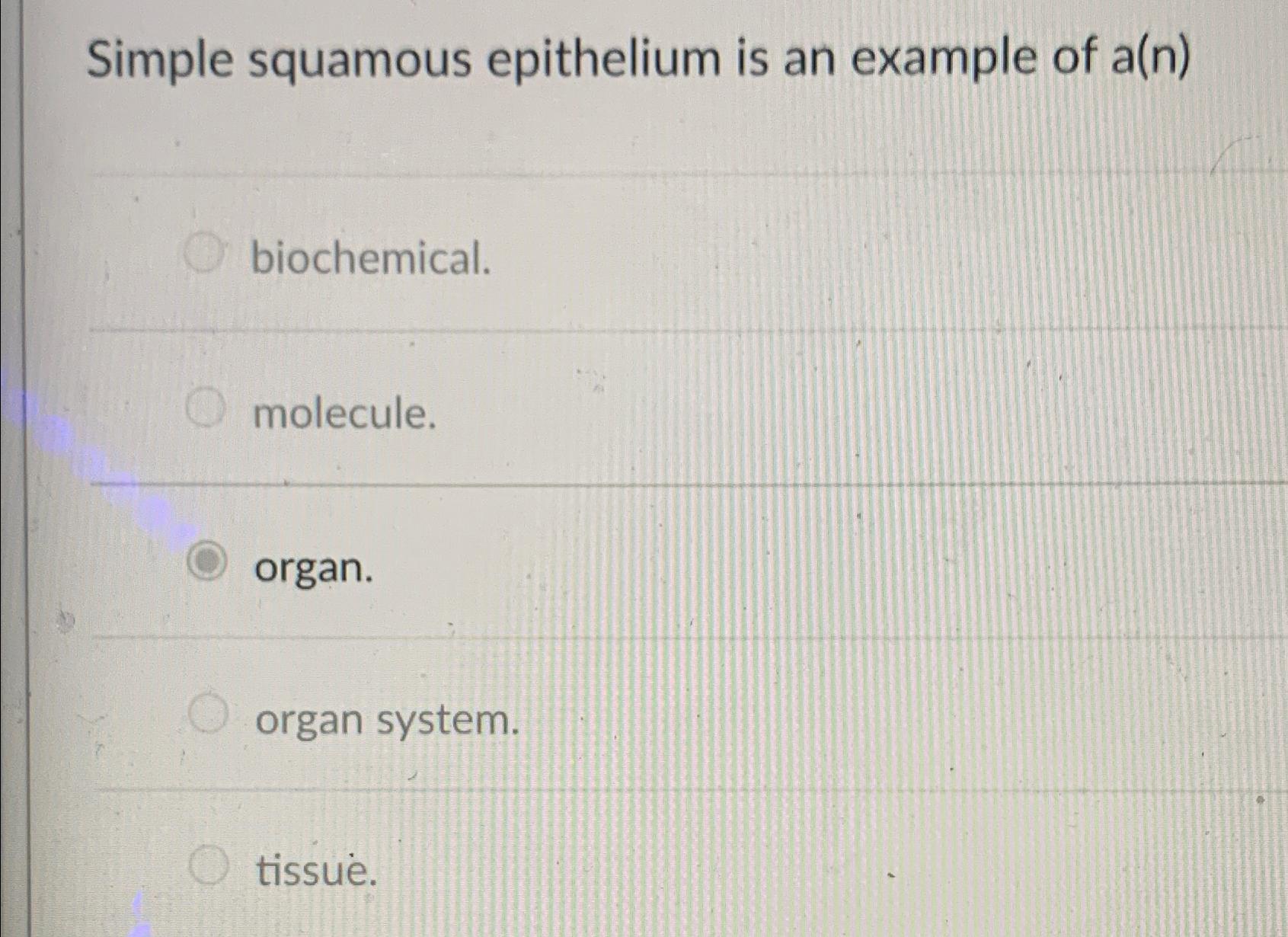 Solved Simple squamous epithelium is an example of | Chegg.com