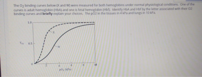 Solved The O2 binding curves below (X and W) were measured | Chegg.com