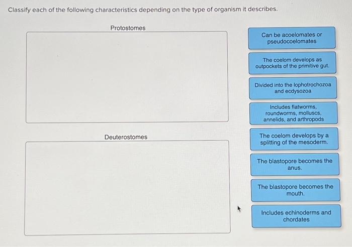 Solved Classify each of the following characteristics | Chegg.com