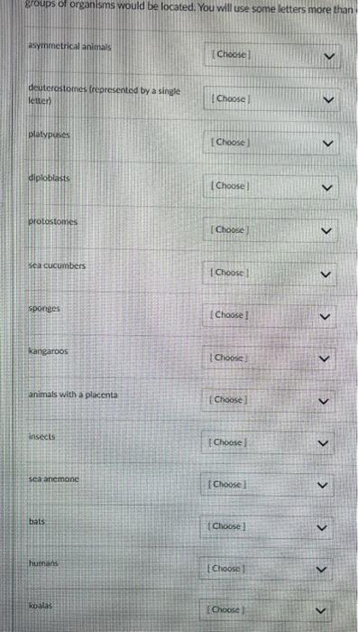 Solved Diagrams for Unit 5 Homework. Part 1 groups of | Chegg.com