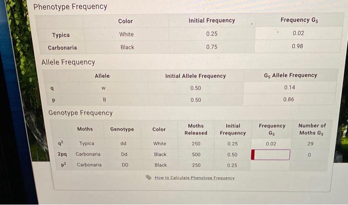 Phenotype Frequency Color Initial Frequency Frequency | Chegg.com