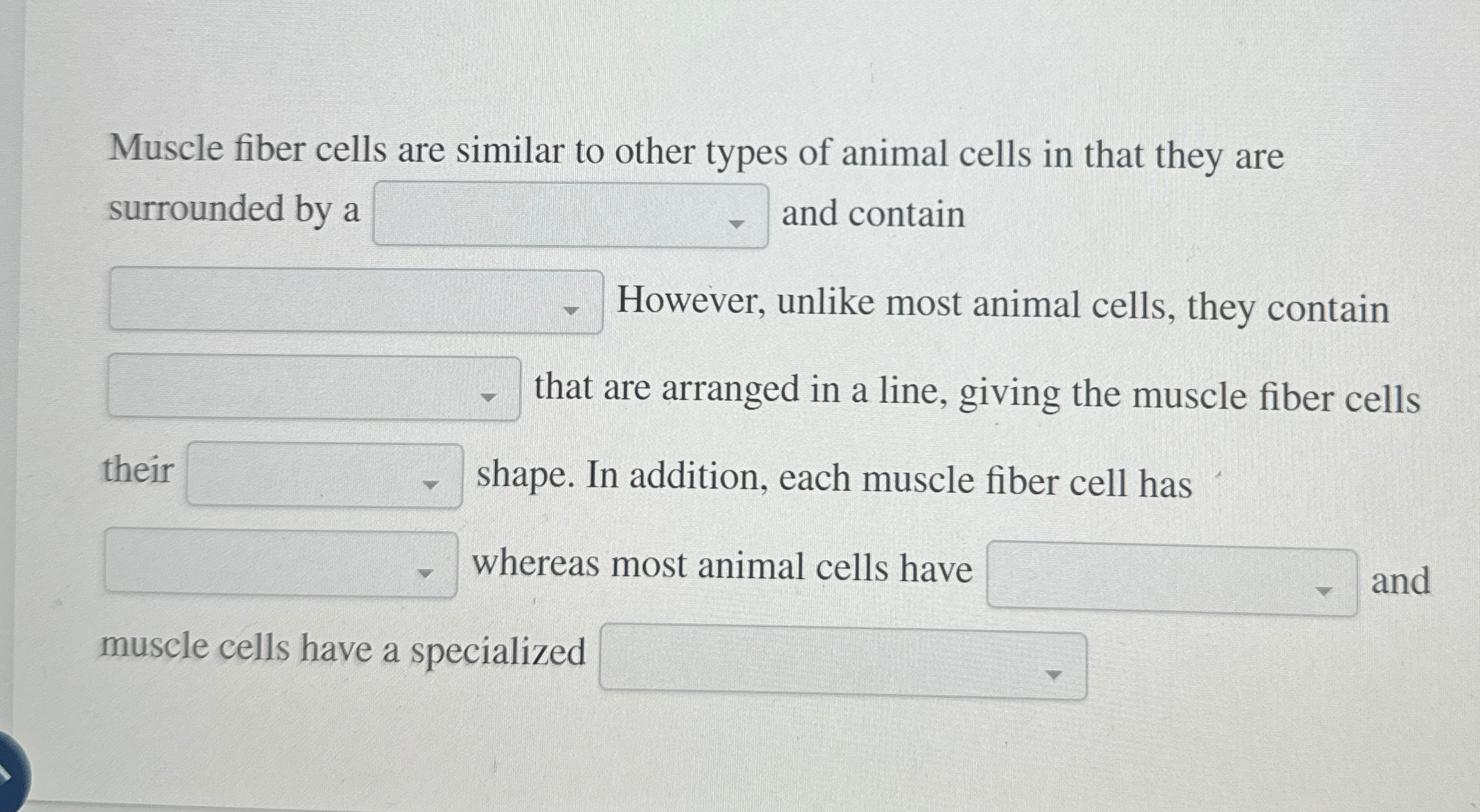 Solved Muscle fiber cells are similar to other types of | Chegg.com