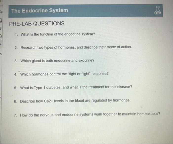 Solved la The Endocrine System PRE-LAB QUESTIONS 1. What is | Chegg.com